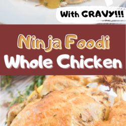 Ninja Foodi Whole Chicken - The Tasty Travelers