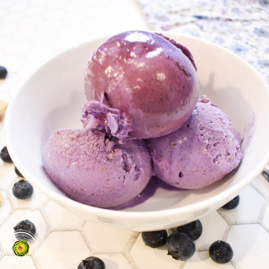 Ninja Creami Blueberry Pie Ice Cream - The Tasty Travelers