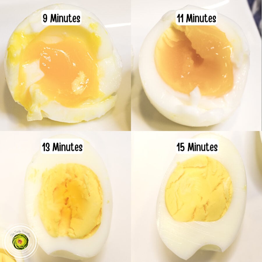 Ninja Foodi Grill BBQ Chicken Nuggets - The Tasty Travelers