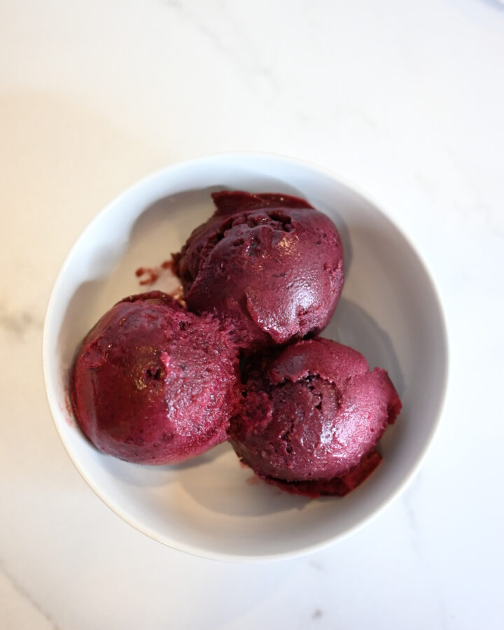 Ninja Creami Blueberry Sorbet - The Tasty Travelers