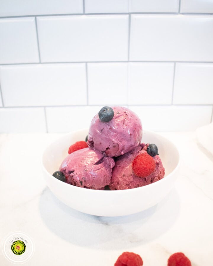 Ninja Creami Berry Blast Protein Ice Cream - The Tasty Travelers