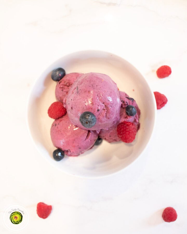 Ninja Creami Berry Blast Protein Ice Cream - The Tasty Travelers