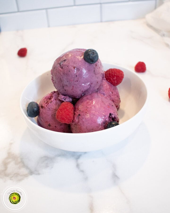 Ninja Creami Berry Blast Protein Ice Cream - The Tasty Travelers
